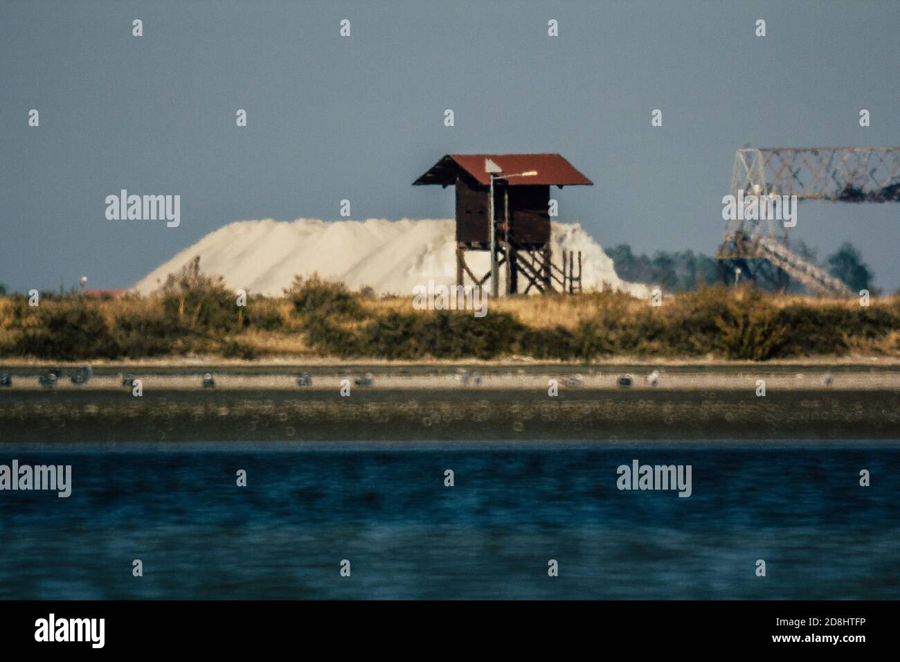 Point of birdwatching Stock Photo - Alamy