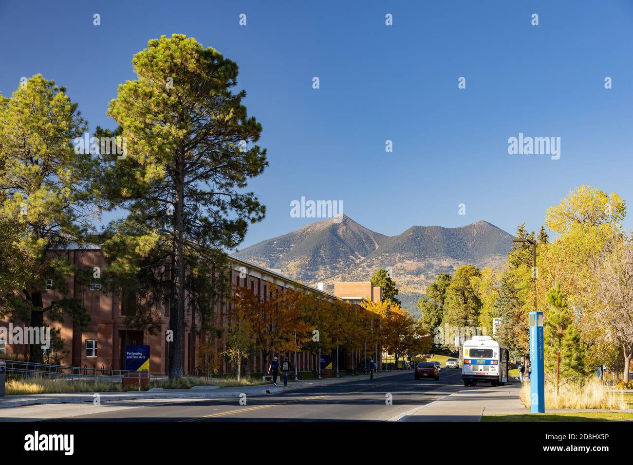 Flagstaff, OCT 20, 2020 - Beautiful fall color around the campus of ...
