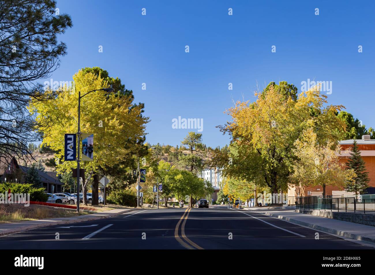 Flagstaff, OCT 20, 2020 - Beautiful fall color around the campus of ...
