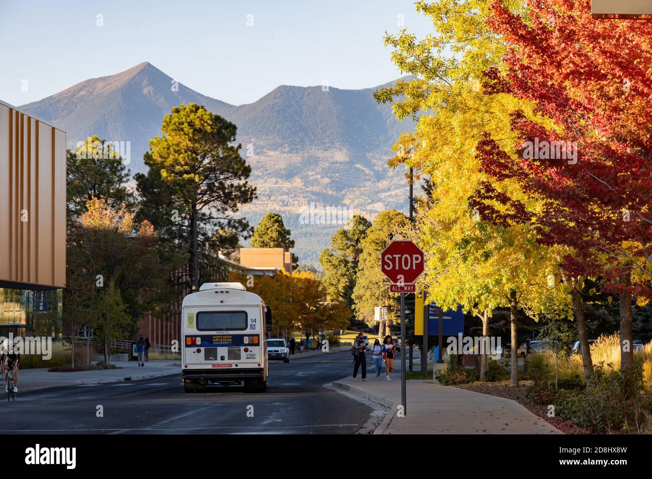 Flagstaff, OCT 20, 2020 - Beautiful fall color around the campus of ...