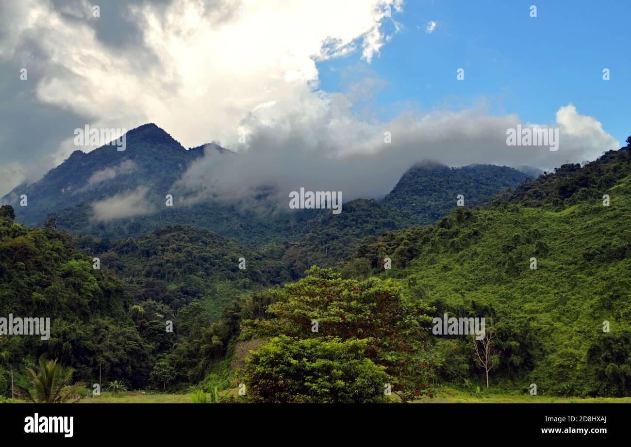 Tropical countryside hi-res stock photography and images - Alamy