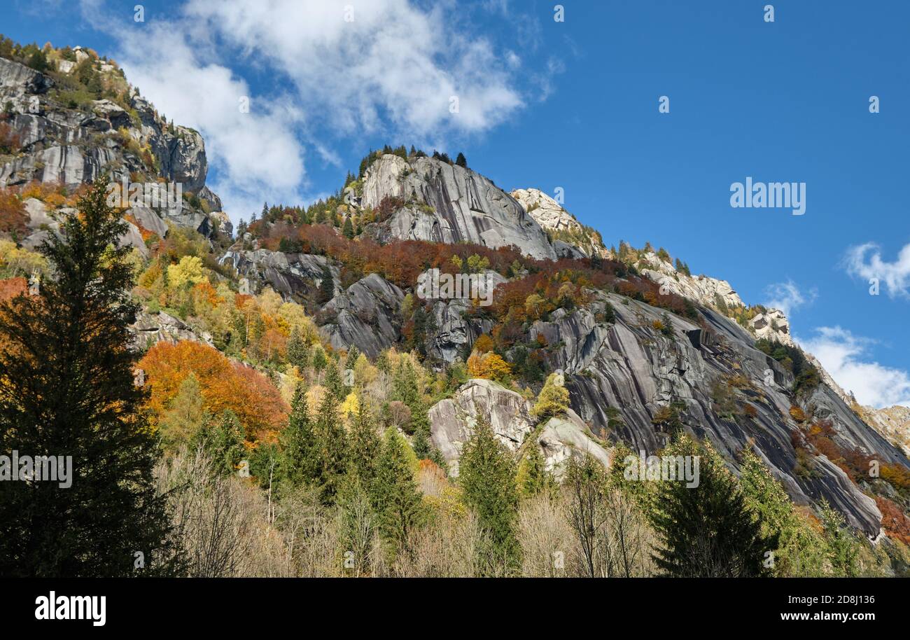 Mountain multicolor woods, in autumn season in Val di Mello, Val Masino ...