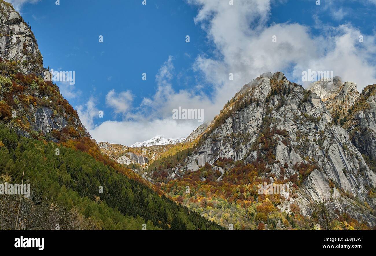 Mountain multicolor woods, in autumn season lake in Val di Mello, Val ...