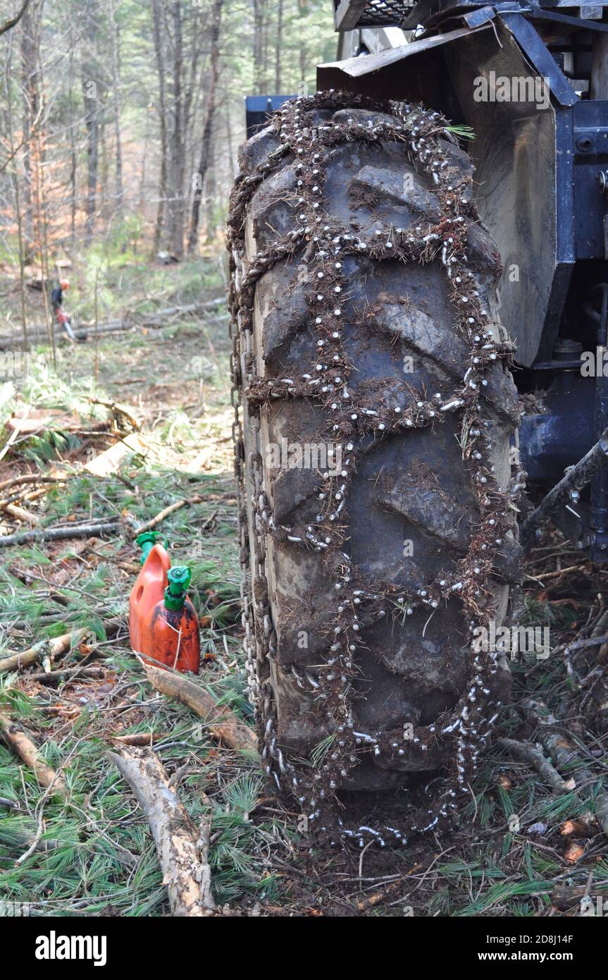 Small-scale mechanized logger uses a forwarder to move harvested logs ...