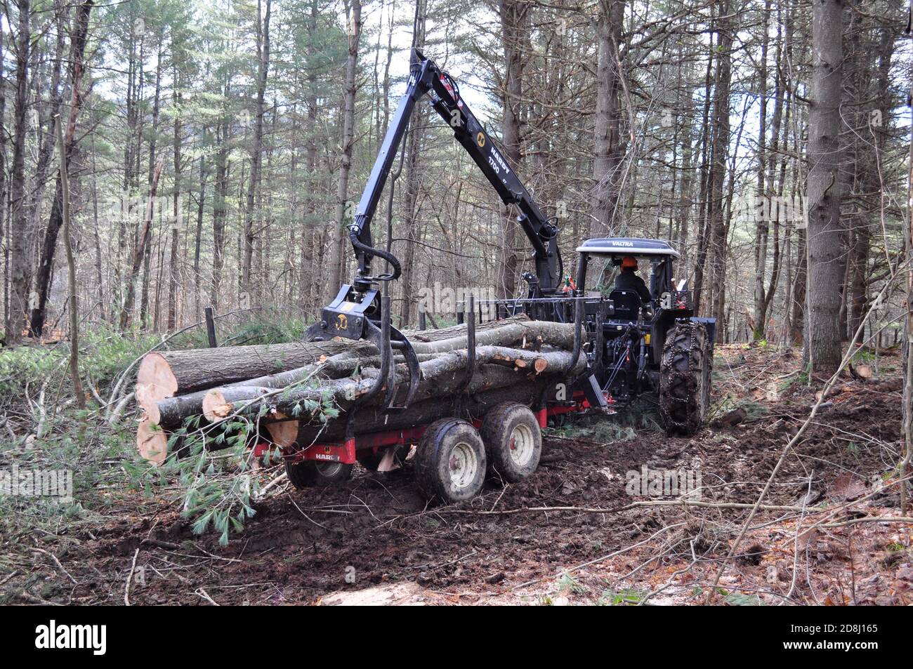 Small-scale mechanized logger uses a forwarder to move harvested logs ...