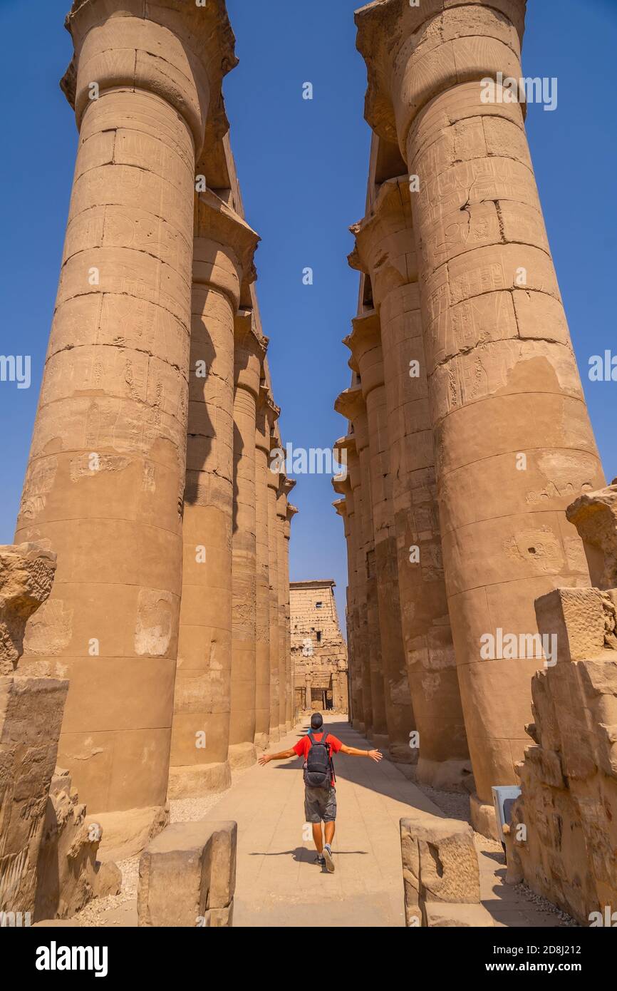 Vertical shot of a back view of a male tourist in Luxor Temple in the ...