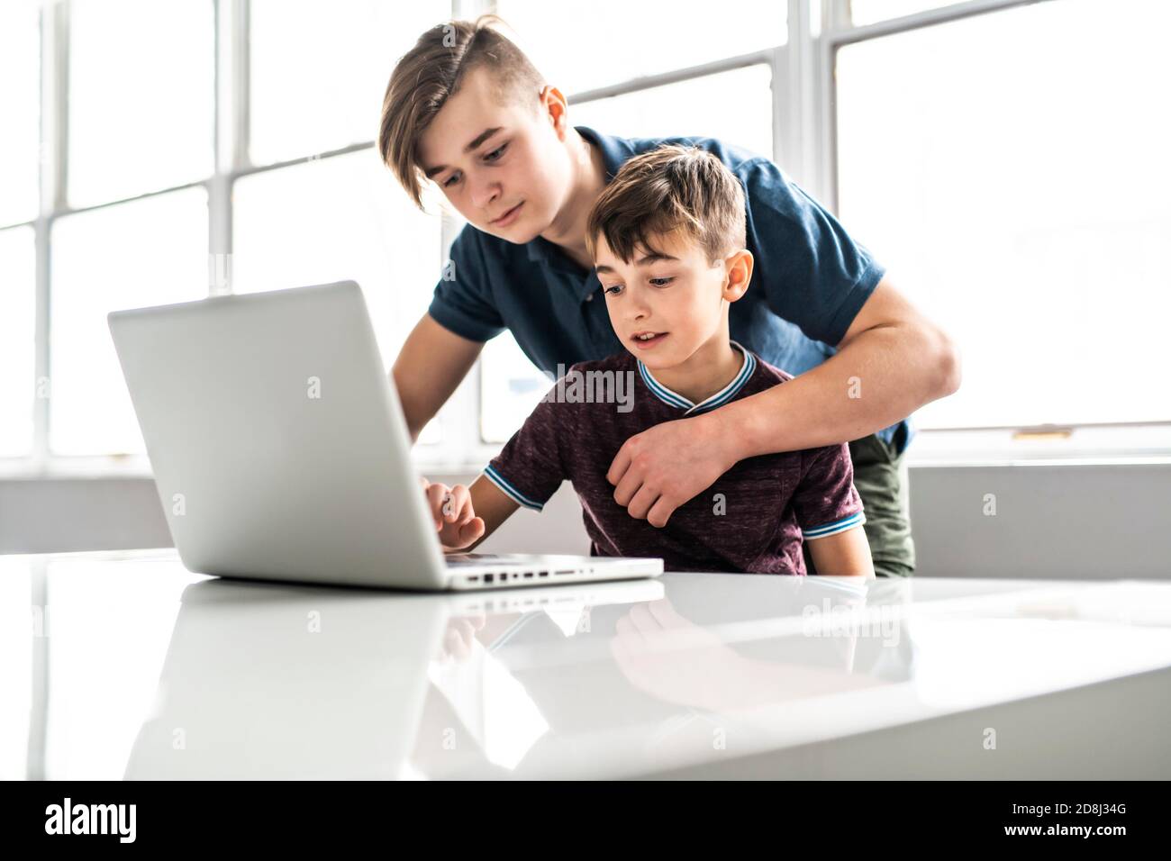 Two nice brothers using laptop computer to do their homework Stock ...