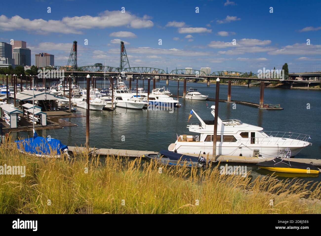 Riverplace Moorage on the Willamette River in Portland, Oregon, USA ...