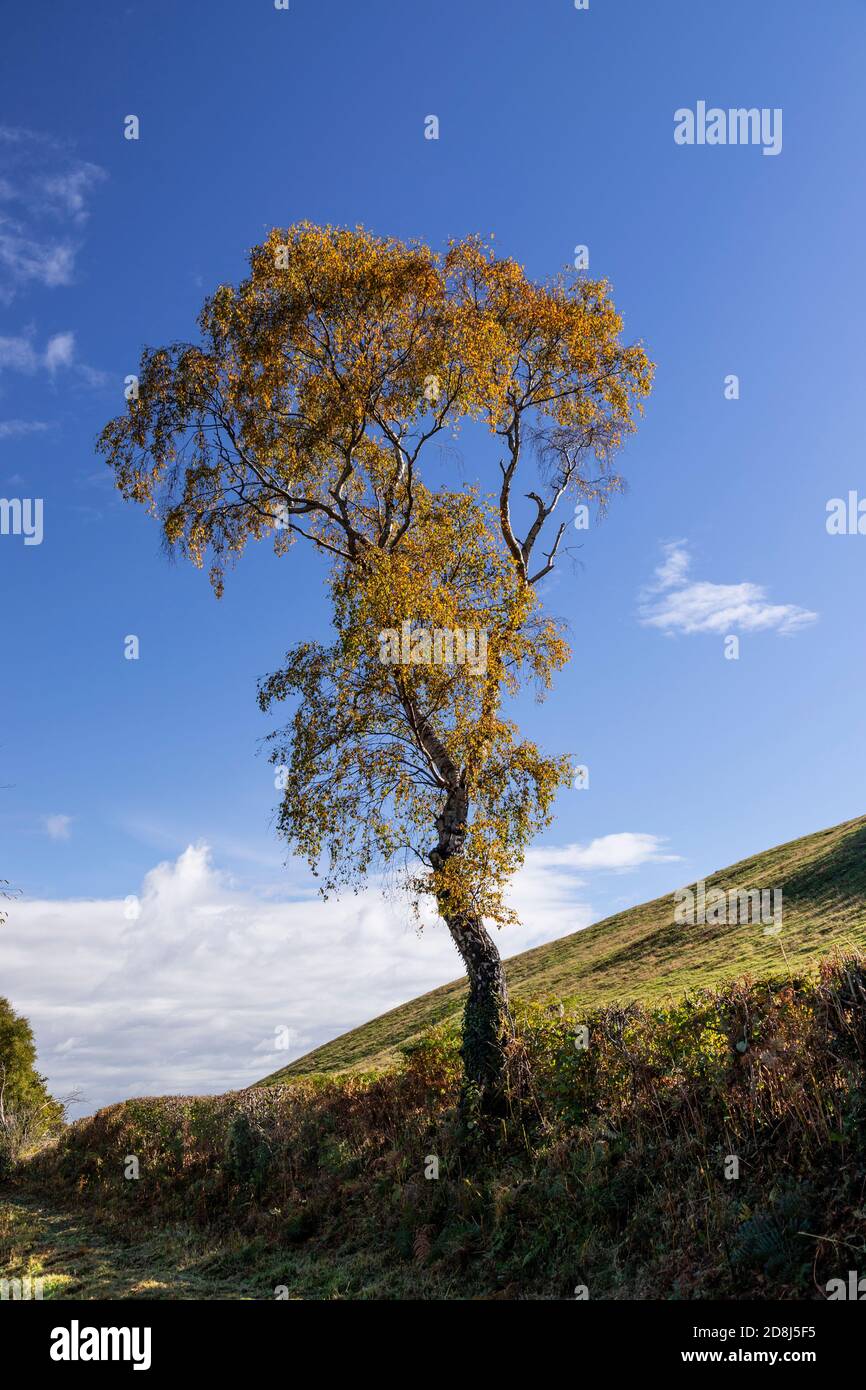 Cilcain north wales hi-res stock photography and images - Alamy