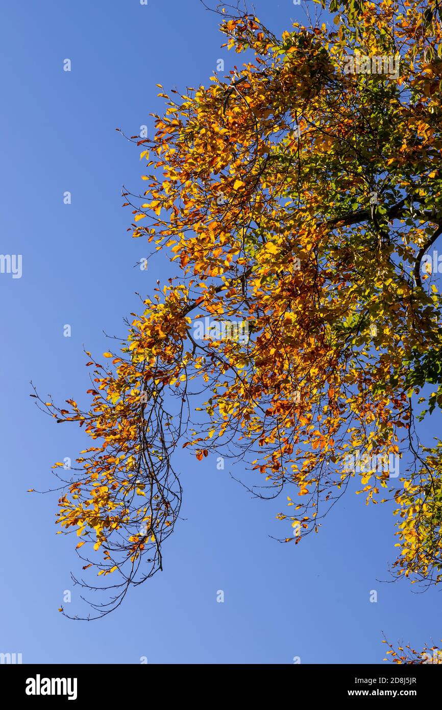 Cilcain north wales hi-res stock photography and images - Alamy