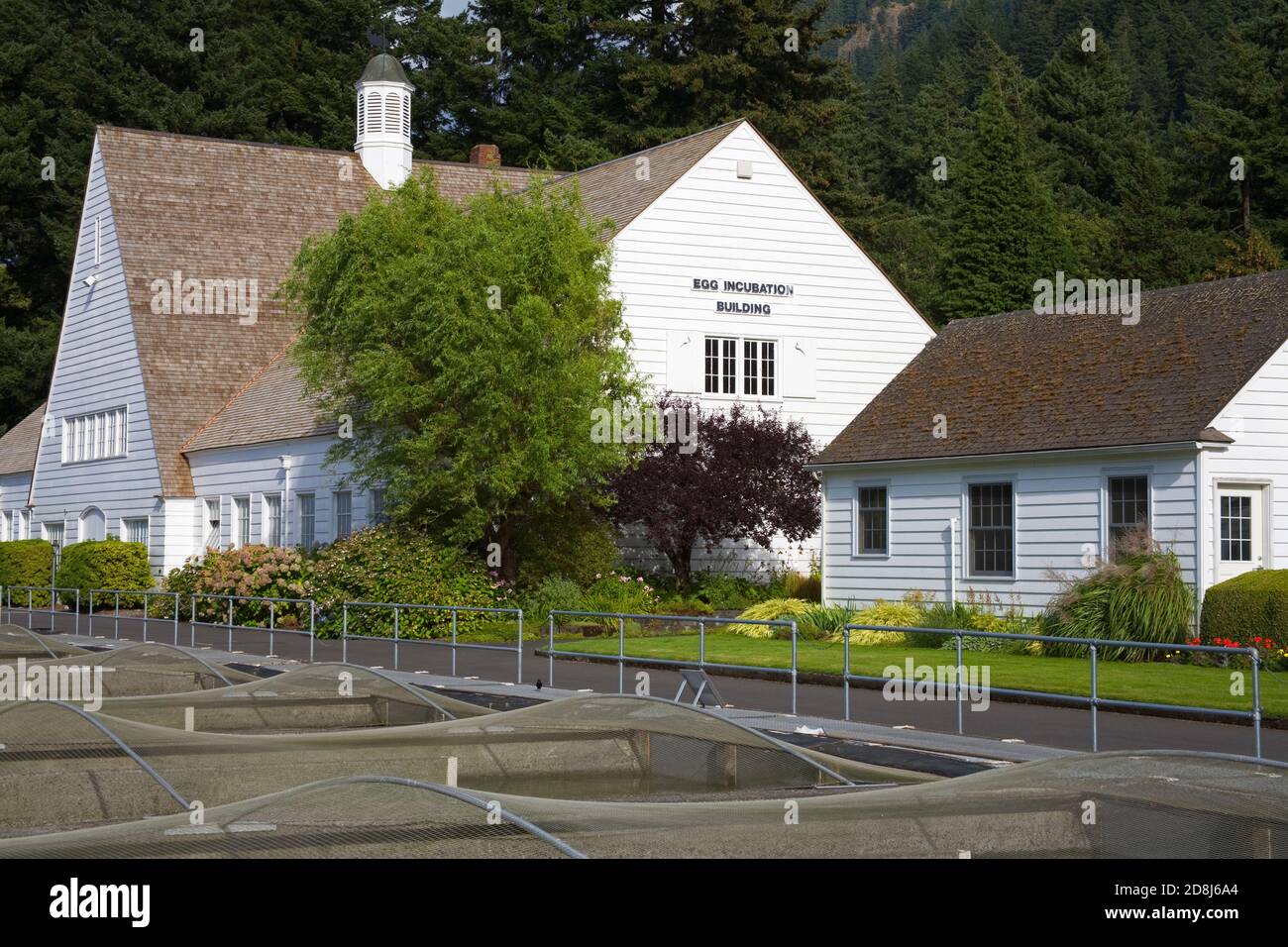 Bonneville Fish Hatchery in the Columbia River Gorge, Greater Portland ...