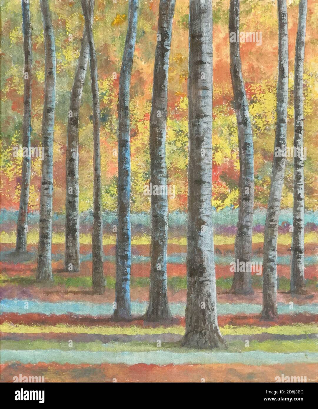Tall and slender trees in a dense forest with dense, abstract ...