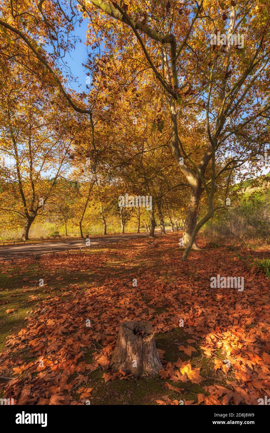 Atmosph a hi-res stock photography and images - Alamy