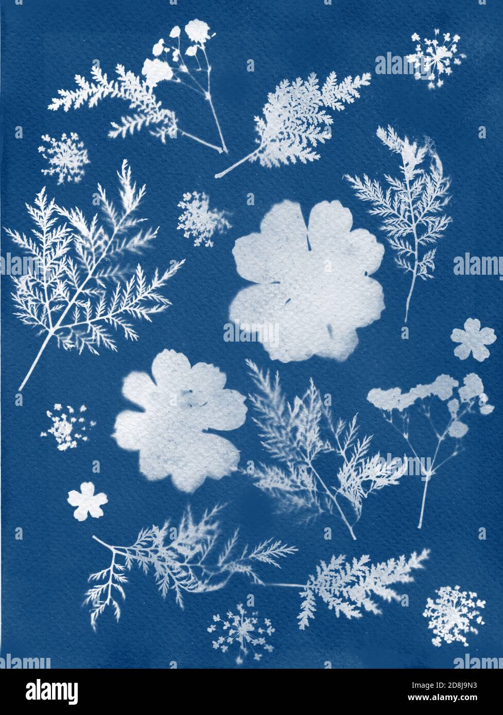 Sun printing, cyanotype process. Floral pattern on watercolor paper ...