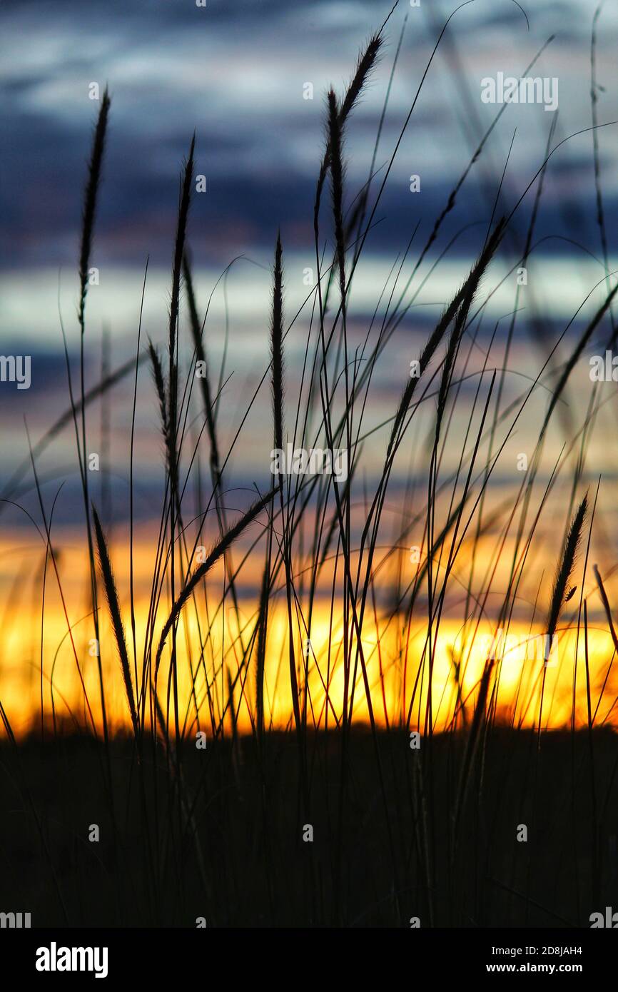 Portrait backlit silhouette photography hi-res stock photography and ...