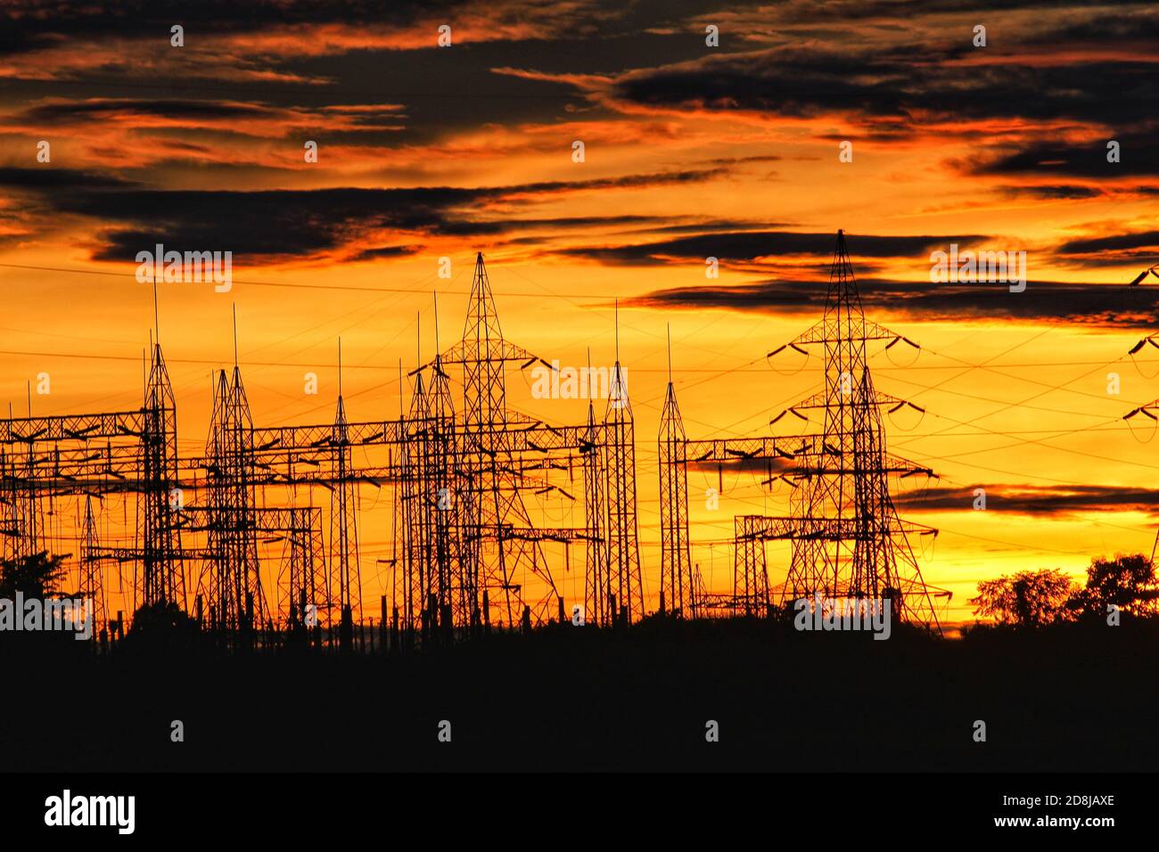 Beautiful nature backlit photography during evening backlit photo for ...