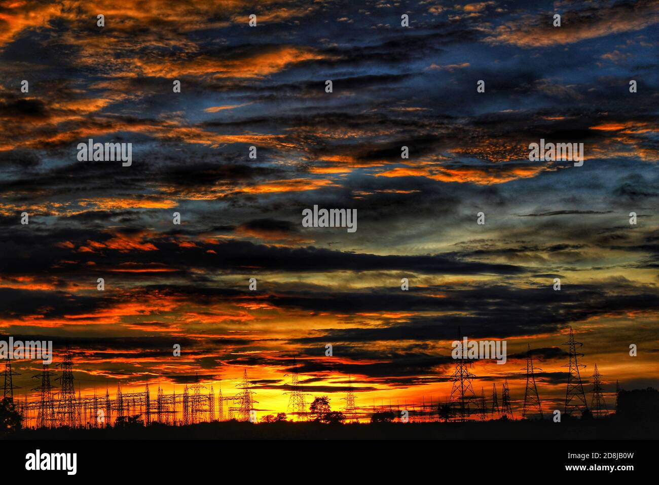 Beautiful nature backlit photography during evening backlit photo for ...