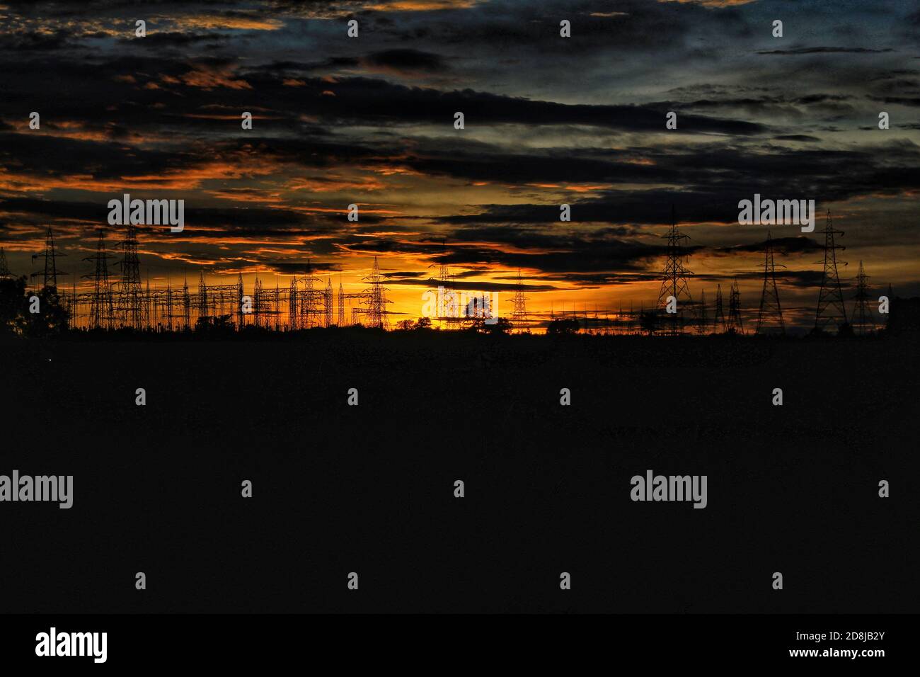 Beautiful nature backlit photography during evening backlit photo for ...