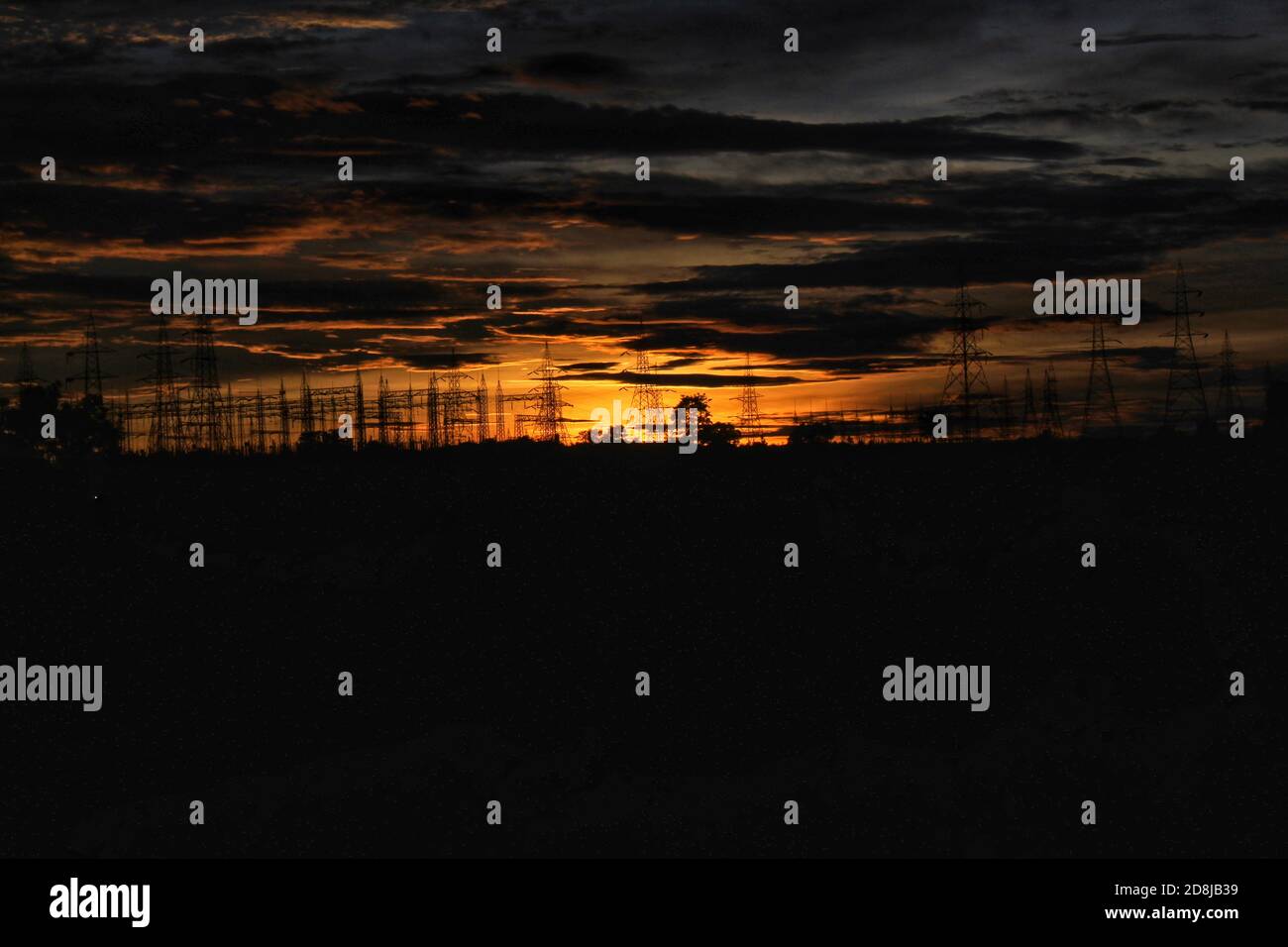 Beautiful nature backlit photography during evening backlit photo for ...
