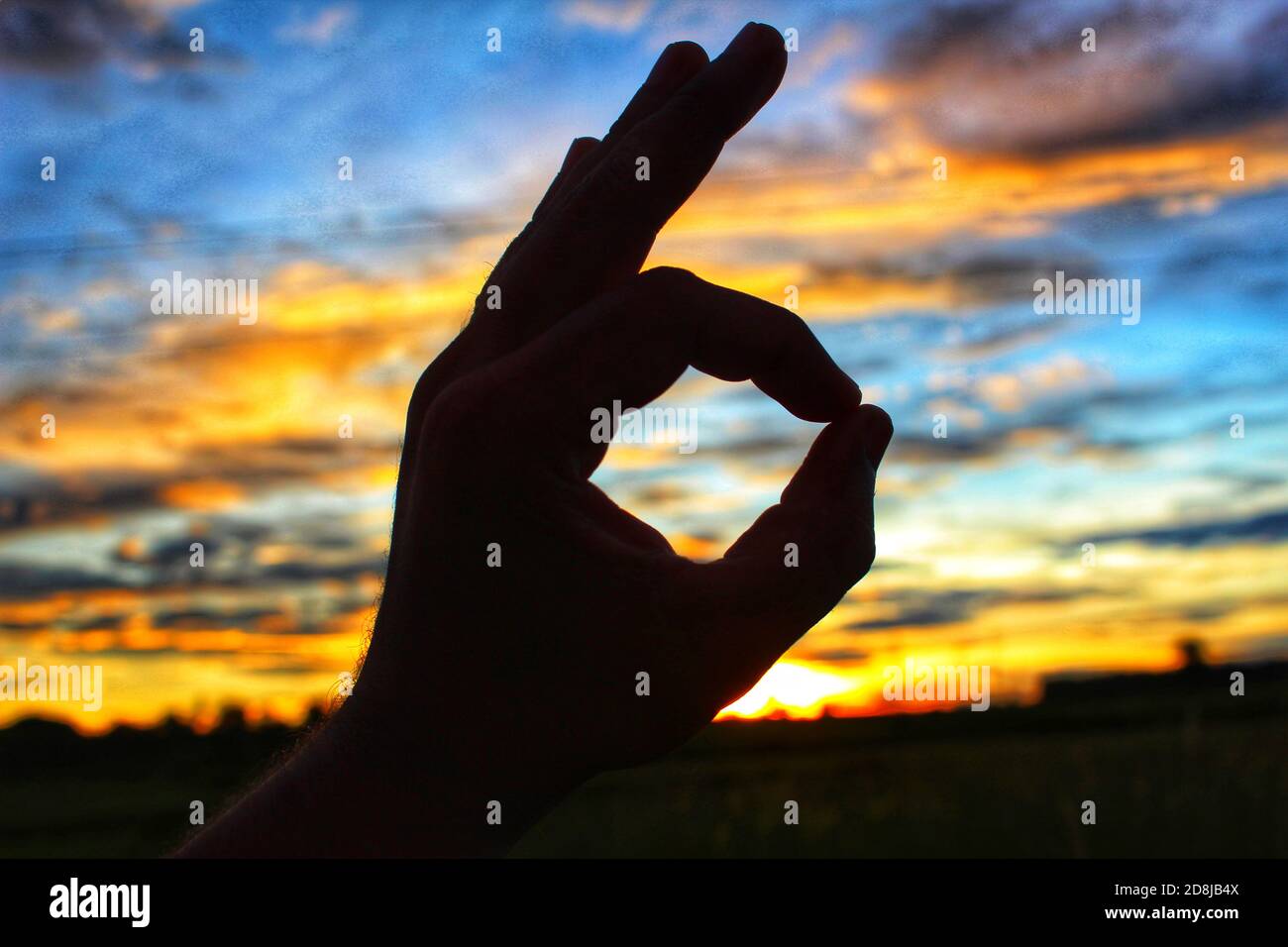 Beautiful nature backlit photography during evening backlit photo for ...