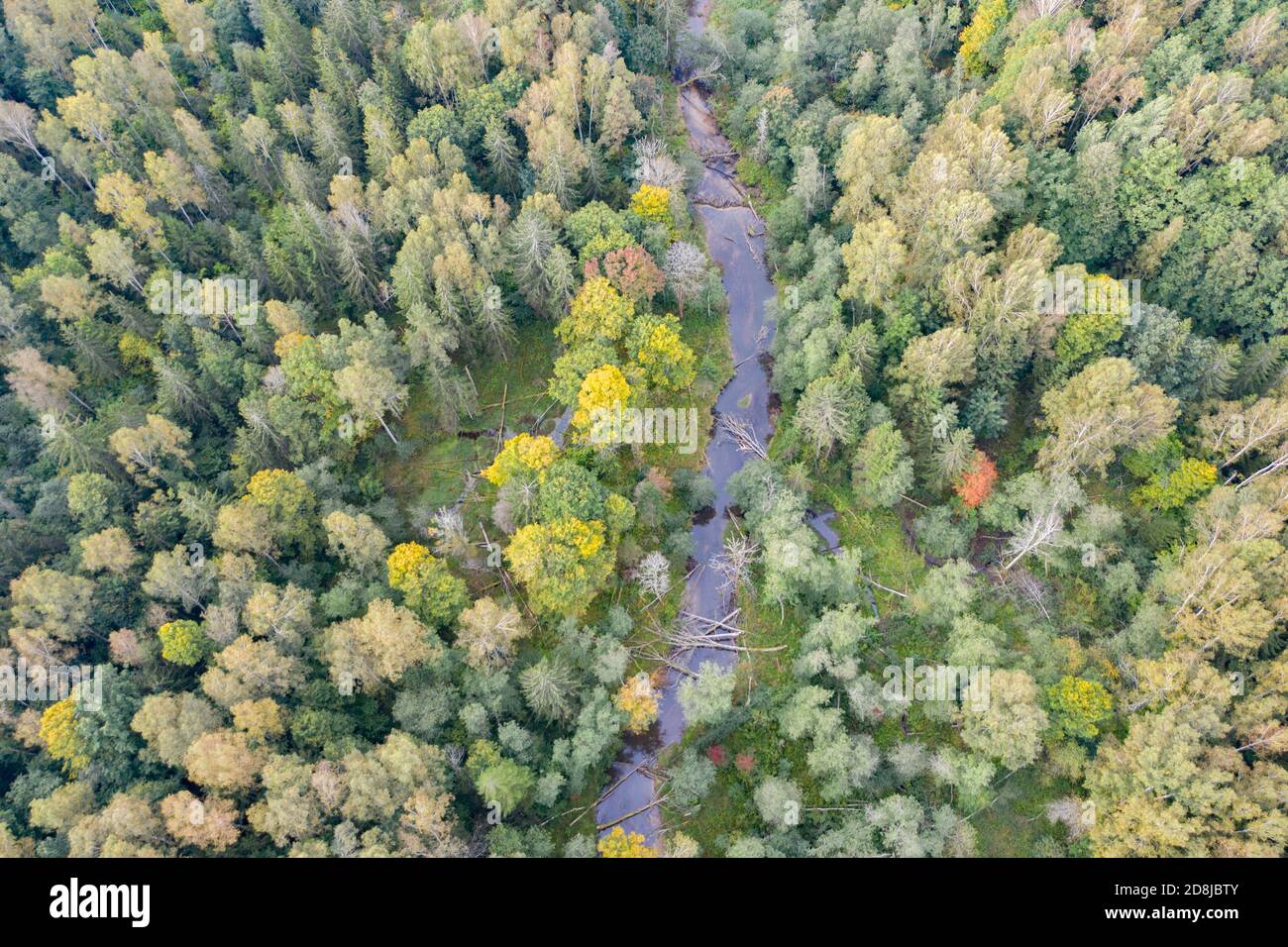 Aerial top down view of winding river flowing through green forest Stock Photo - Alamy