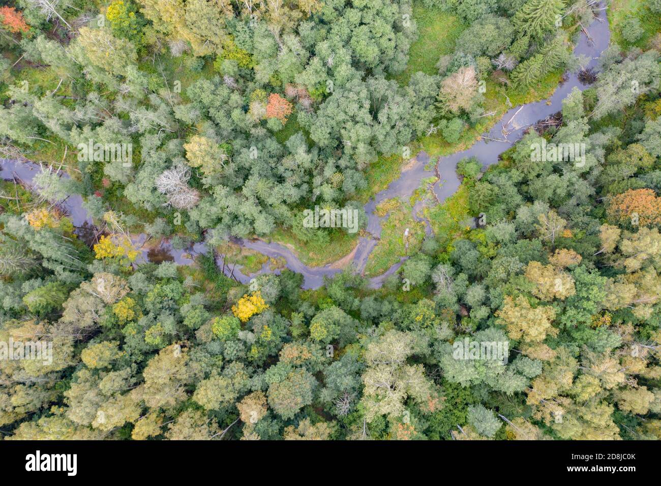 Aerial top down view of winding river flowing through green forest Stock Photo - Alamy