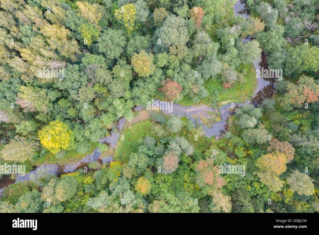 River winding through woodland hi-res stock photography and images - Alamy