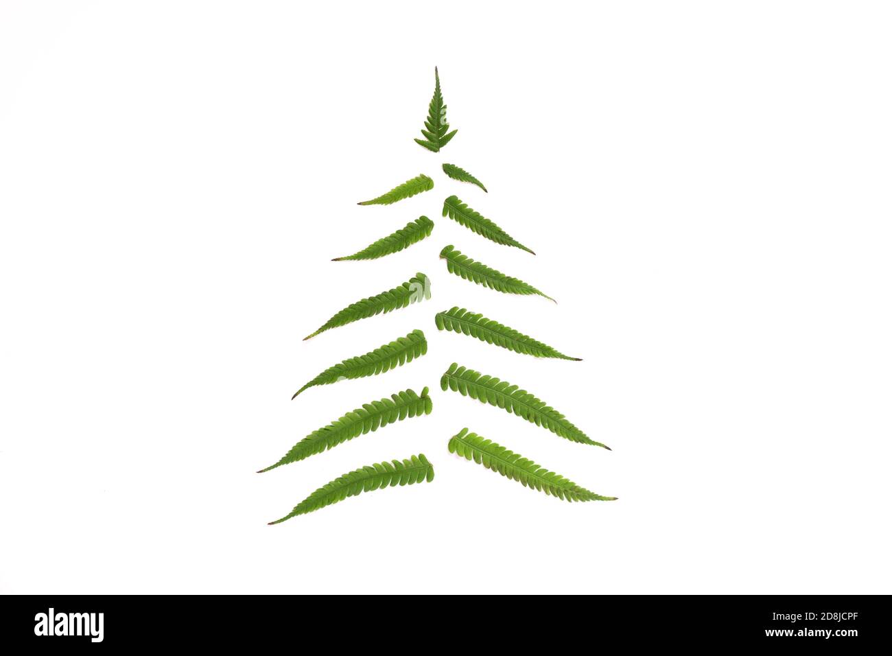 Christmas tree made of fern leaves on white background Stock Photo - Alamy
