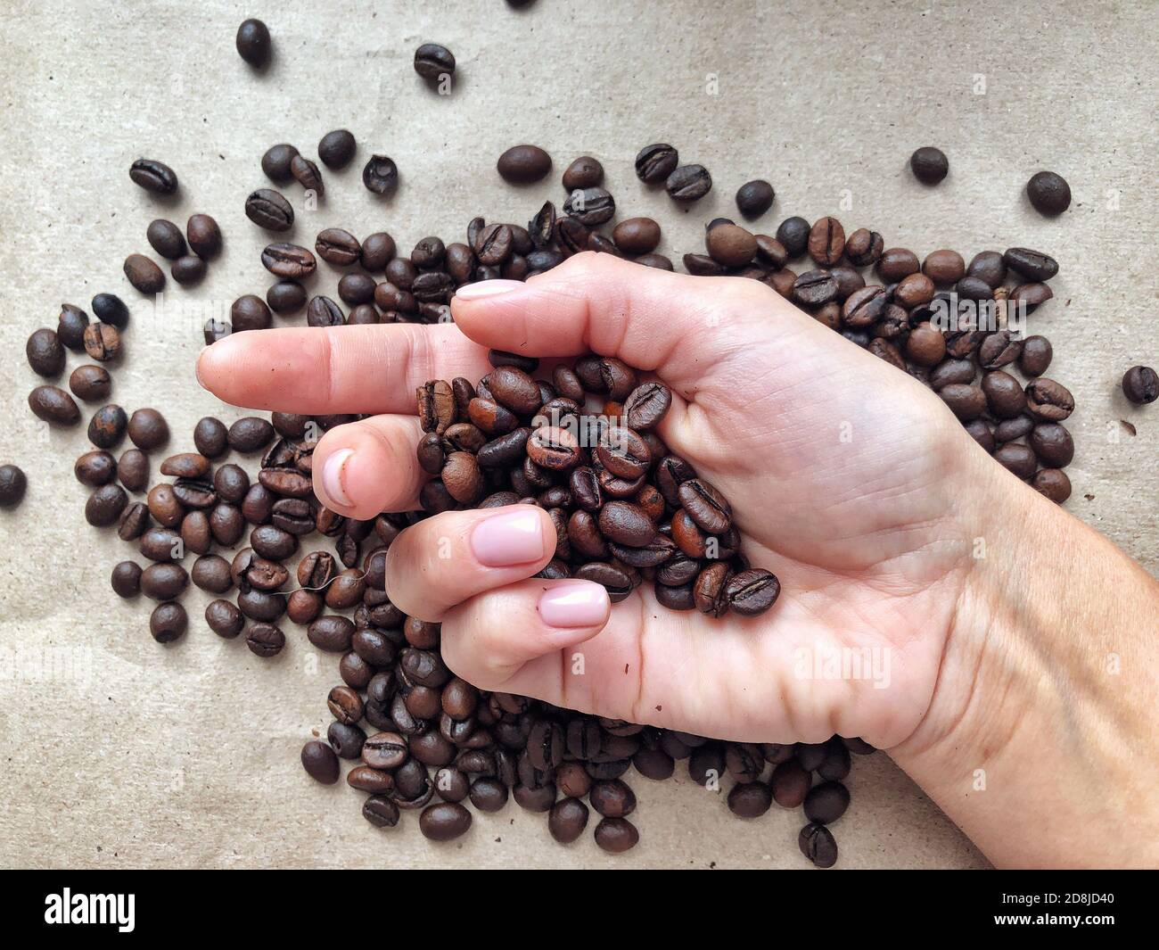 Fresh roasted coffee beans pouring out of folded palms on cardboard ...