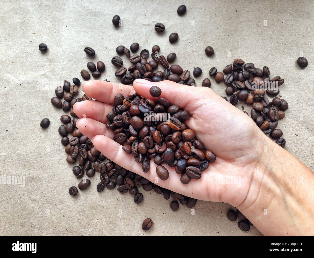 Fragrant coffee beans in hand, concept. Fresh roasted coffee beans ...