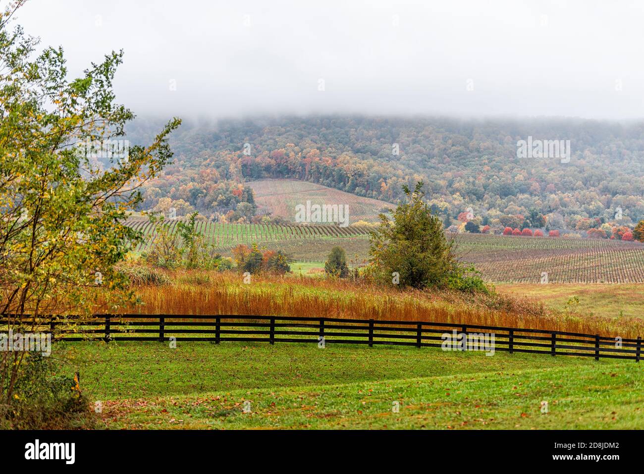 Autumn fall foliage season countryside at Charlottesville winery ...