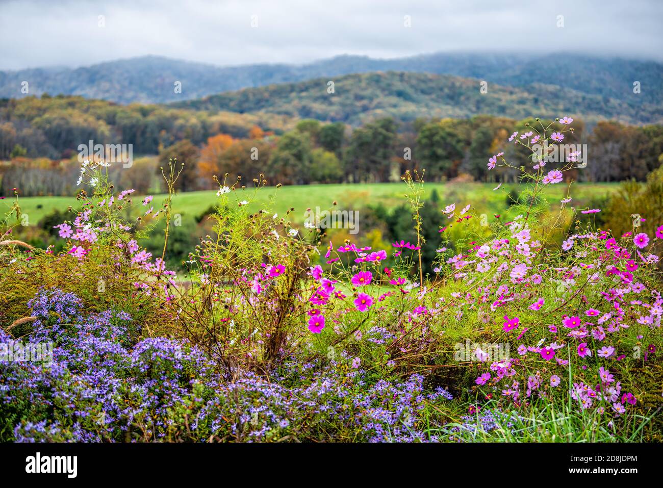 Autumn fall season rural countryside with foreground of many colorful ...