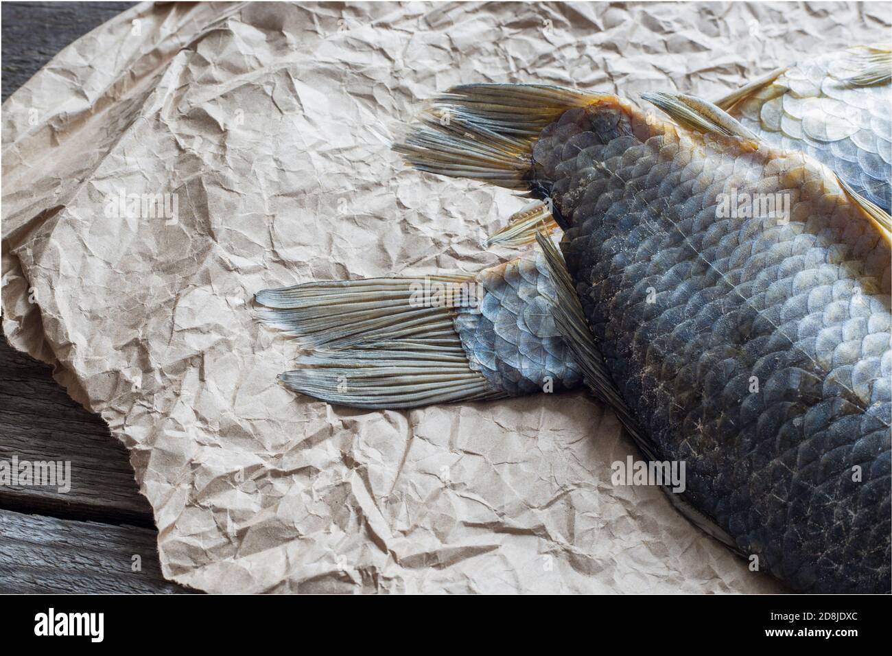 Fish Tails High Resolution Stock Photography and Images - Alamy