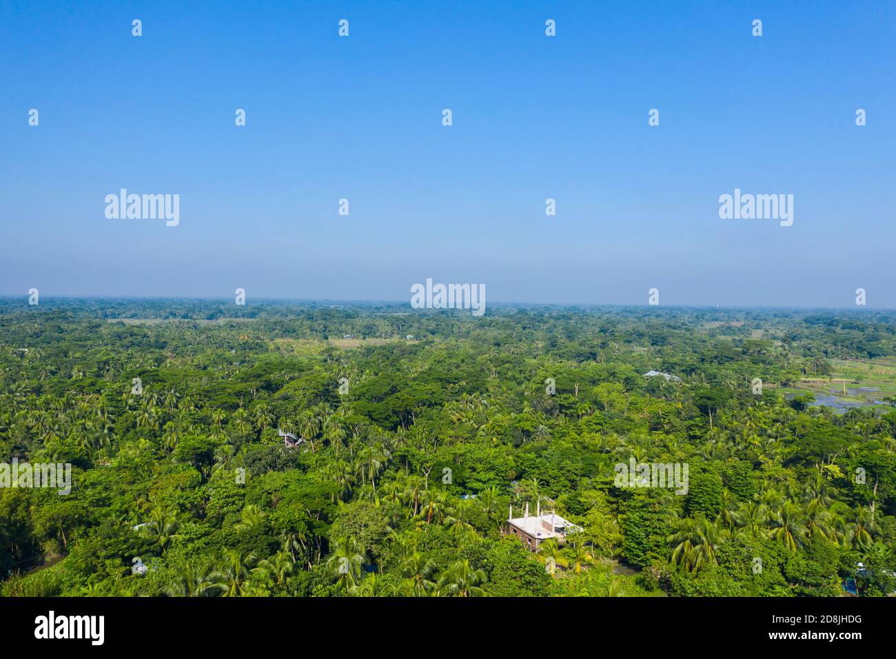 Aerial view of a village at Nazirpur upazila under Pirojpur drstrict ...