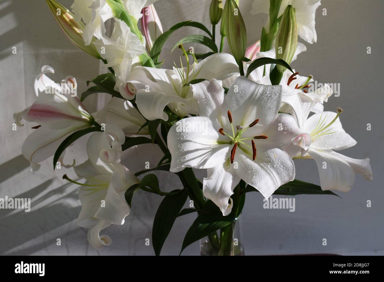 Superbe fleur hi-res stock photography and images - Alamy