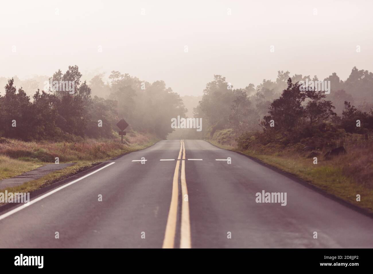 Rural road in the forest, USA Stock Photo - Alamy