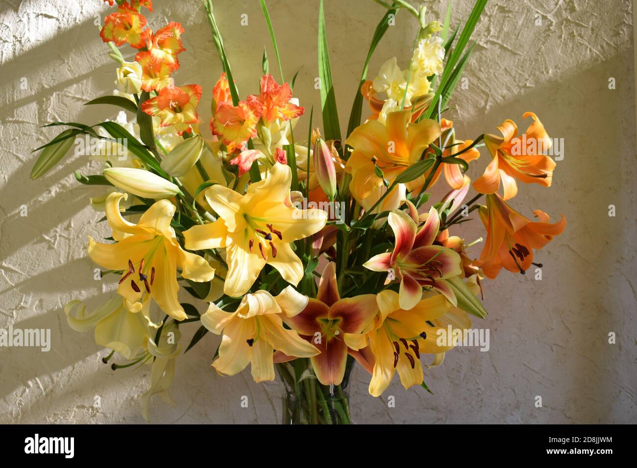 Nuances jaunes hi-res stock photography and images - Alamy