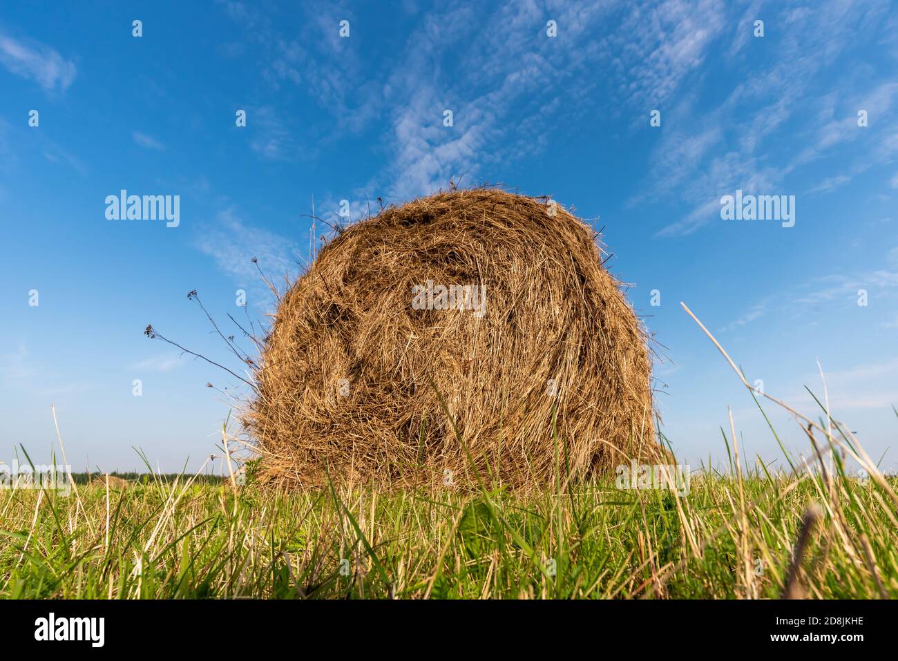 Picture haystack hi-res stock photography and images - Alamy