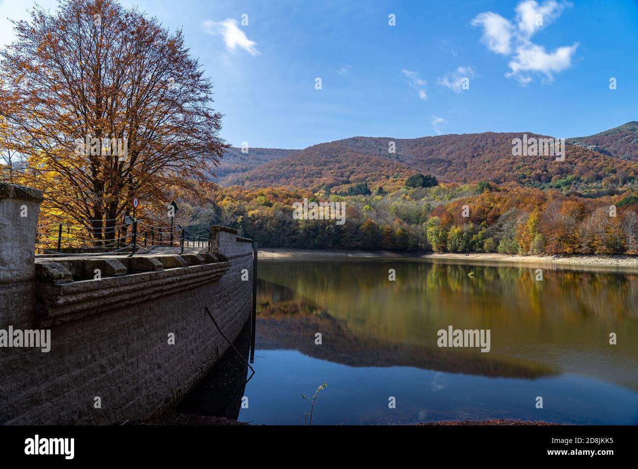 Montseny deep forest colorful autumn in Catalonia, Spain Stock Photo ...