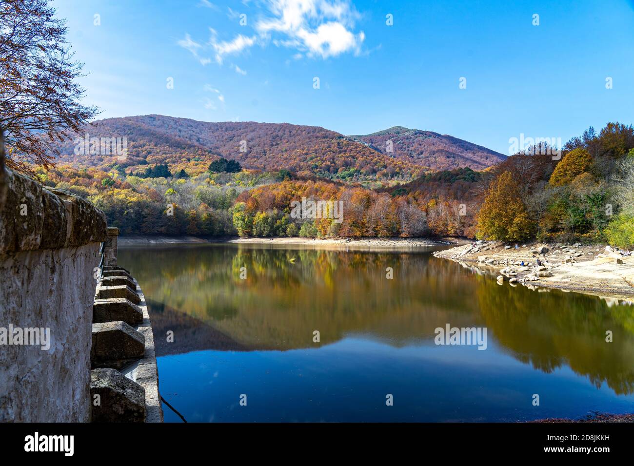 Montseny deep forest colorful autumn in Catalonia, Spain Stock Photo ...