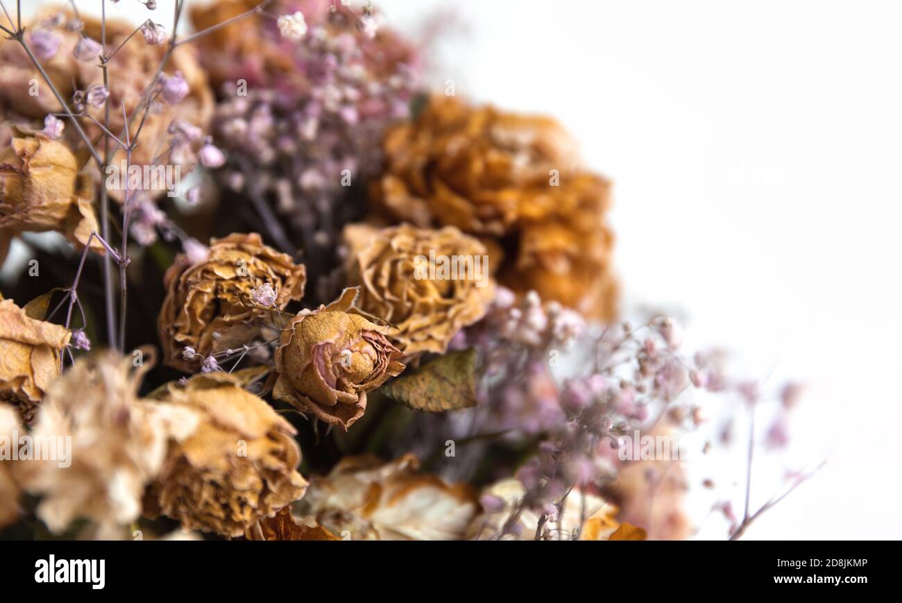 Dry bouquet. Close-up image of dried flowers in a bouquet. Life and ...