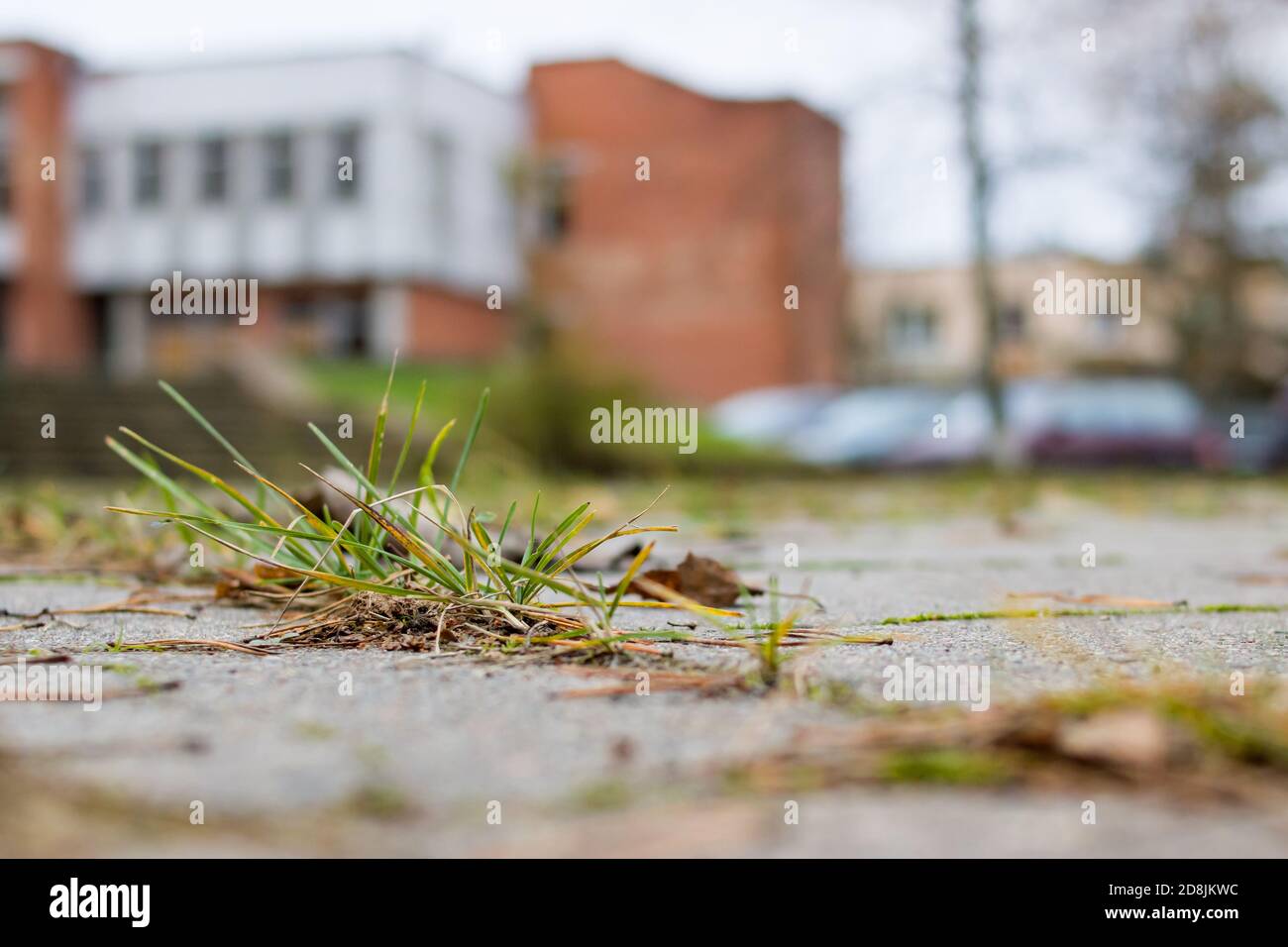 Sidewalk suburb street grass hi-res stock photography and images - Alamy