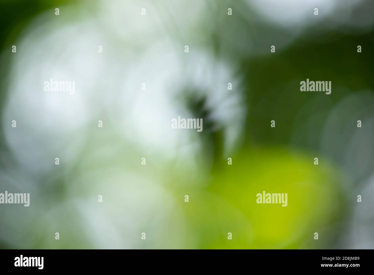 Smooth green nature out of focus blurred background Stock Photo - Alamy