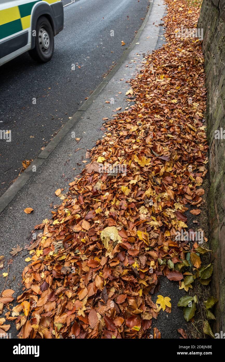 Autumn leaves fallen onto a path Stock Photo - Alamy