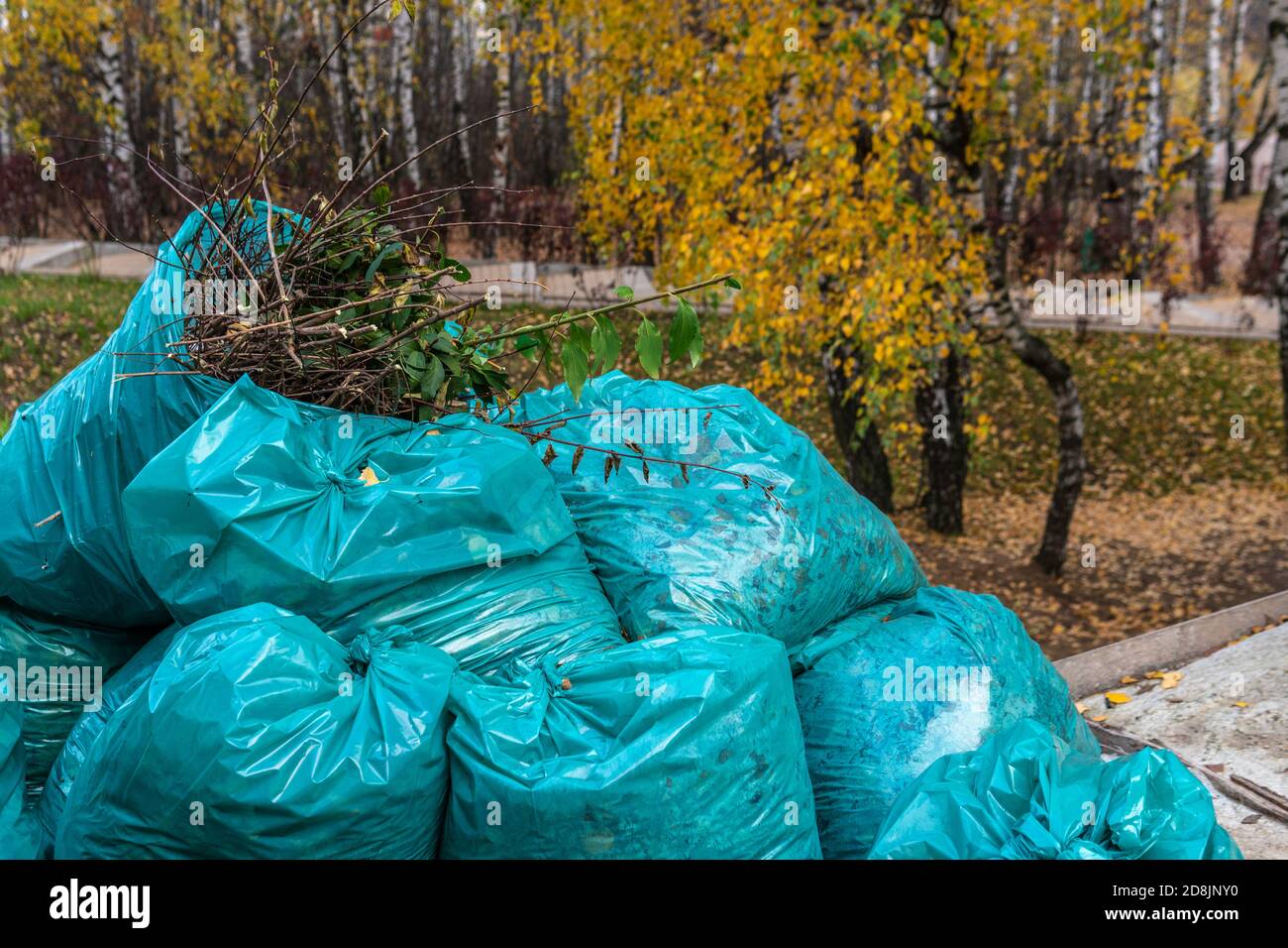 Bags of garbage in nature in an outdoor park blue, the autumn forest in ...