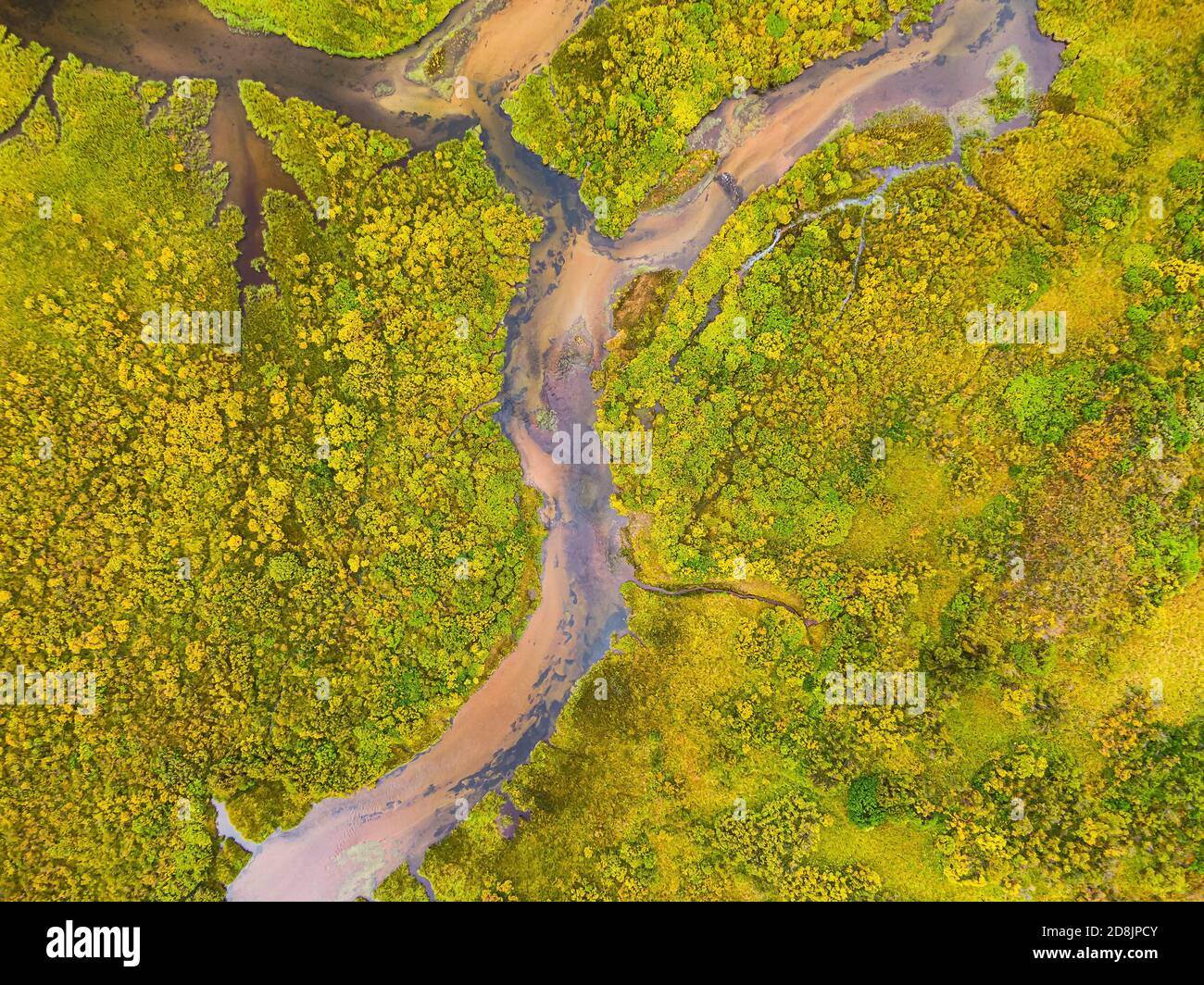 Aerial view of colorful pond in the marshlands Stock Photo - Alamy