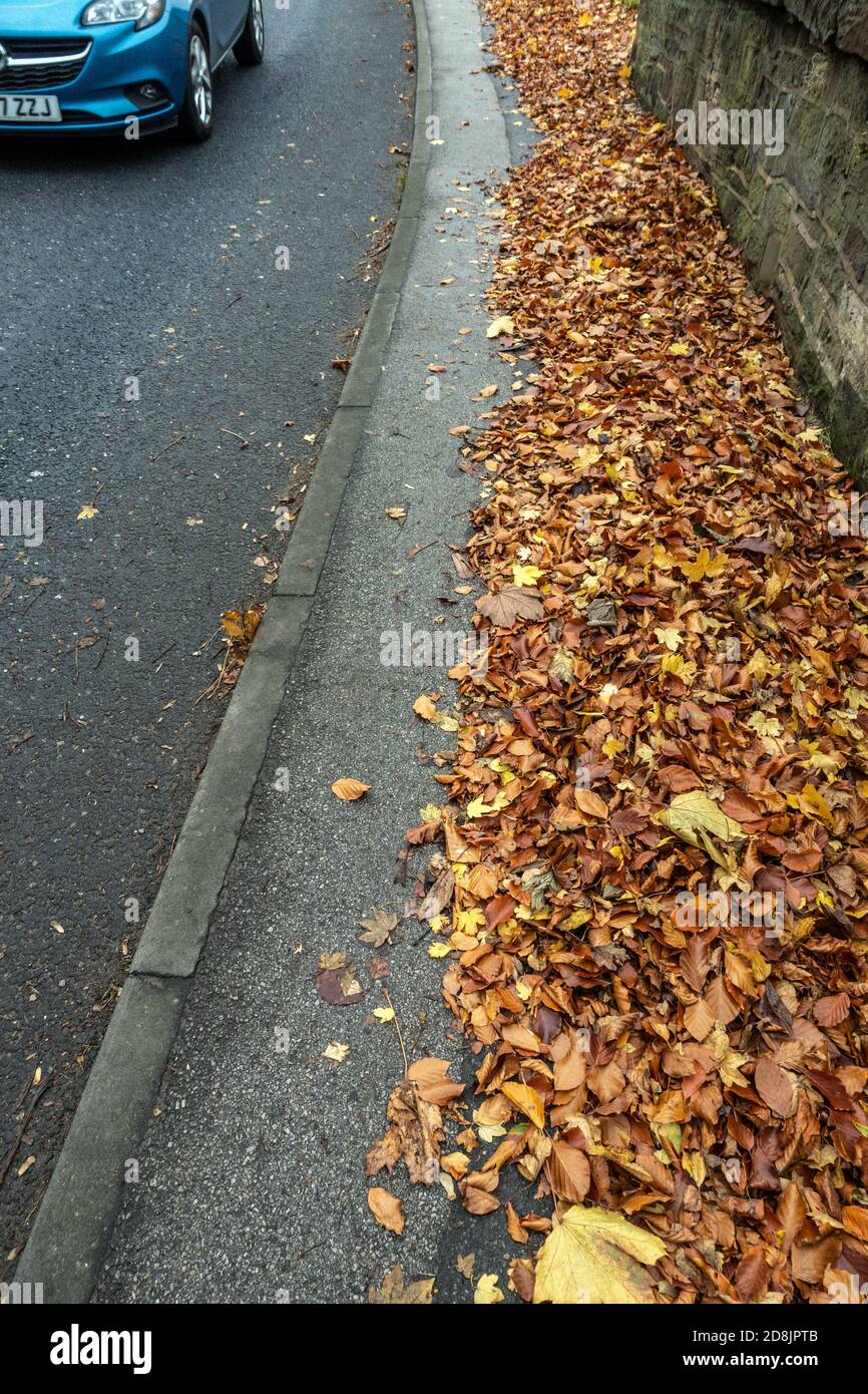Autumn leaves fallen onto a path Stock Photo - Alamy