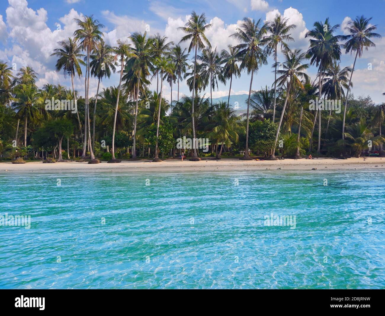 Beautiful tropical sandy beach with tall palm trees and turquoise water ...