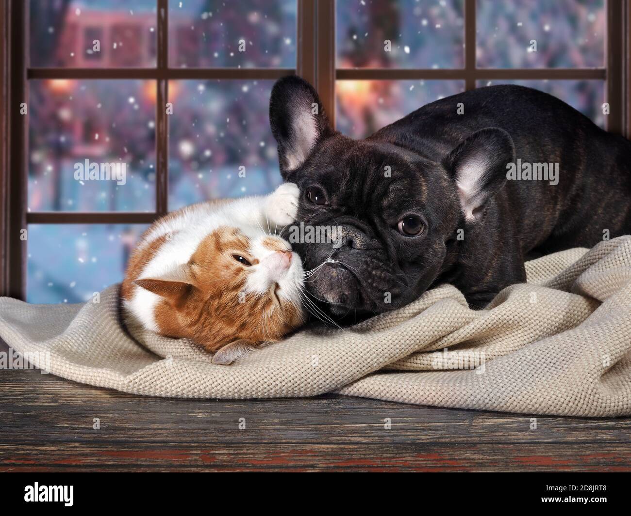 The concept of comfort and warmth in the cold season Stock Photo - Alamy