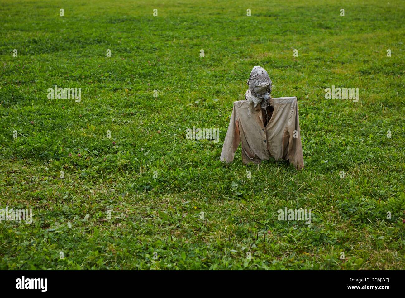 Scarecrow in field. Scarecrow on nature background Stock Photo - Alamy